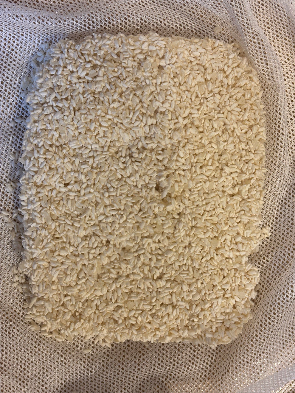 Frozen Fresh Koji (1KG) – Orchid Sake Brewery